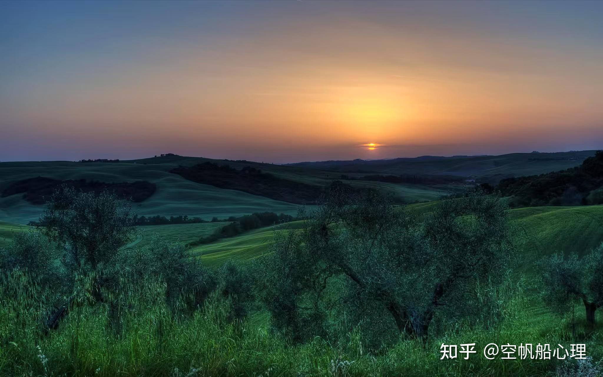 NPD的爱情图式：为何爱你者，予你牢笼（4） - 知乎