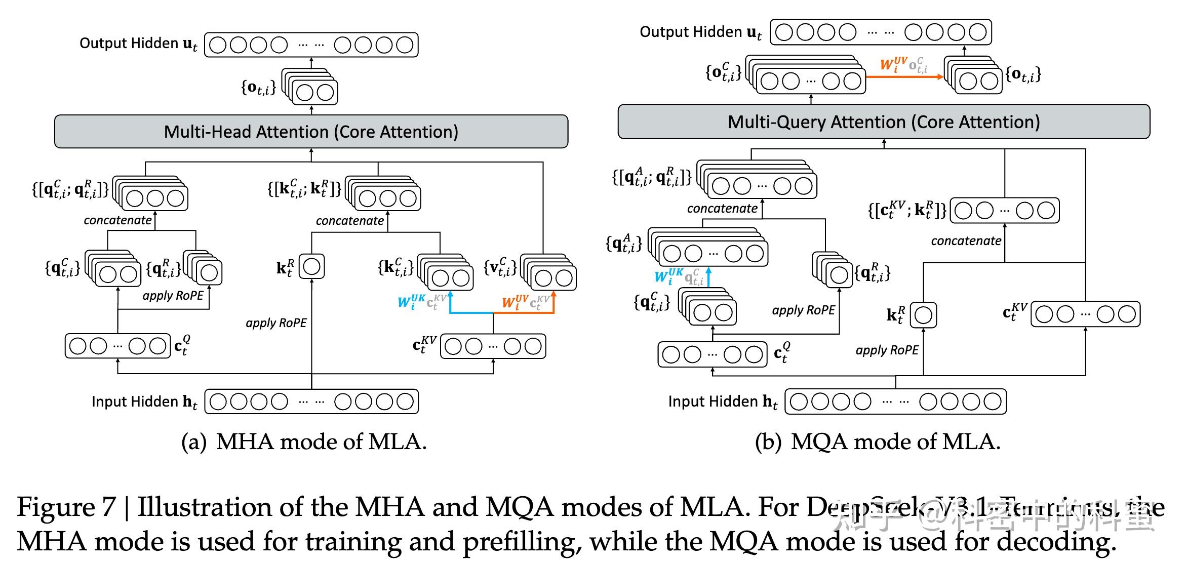 DeepSeek MLA 如何实现 MHA 到 MQA 的无缝切换 - 知乎