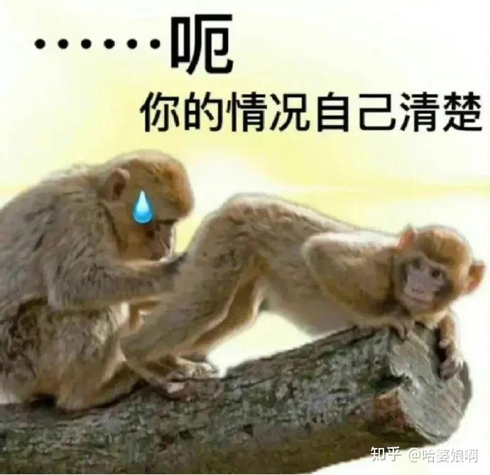 发点猴子表情包 - 知乎