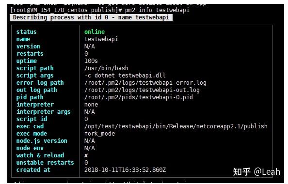 使用pm2守护你的.NET Core应用程序