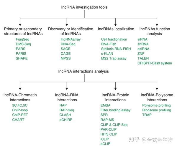 LncRNA的作用机制及研究方法 - 知乎