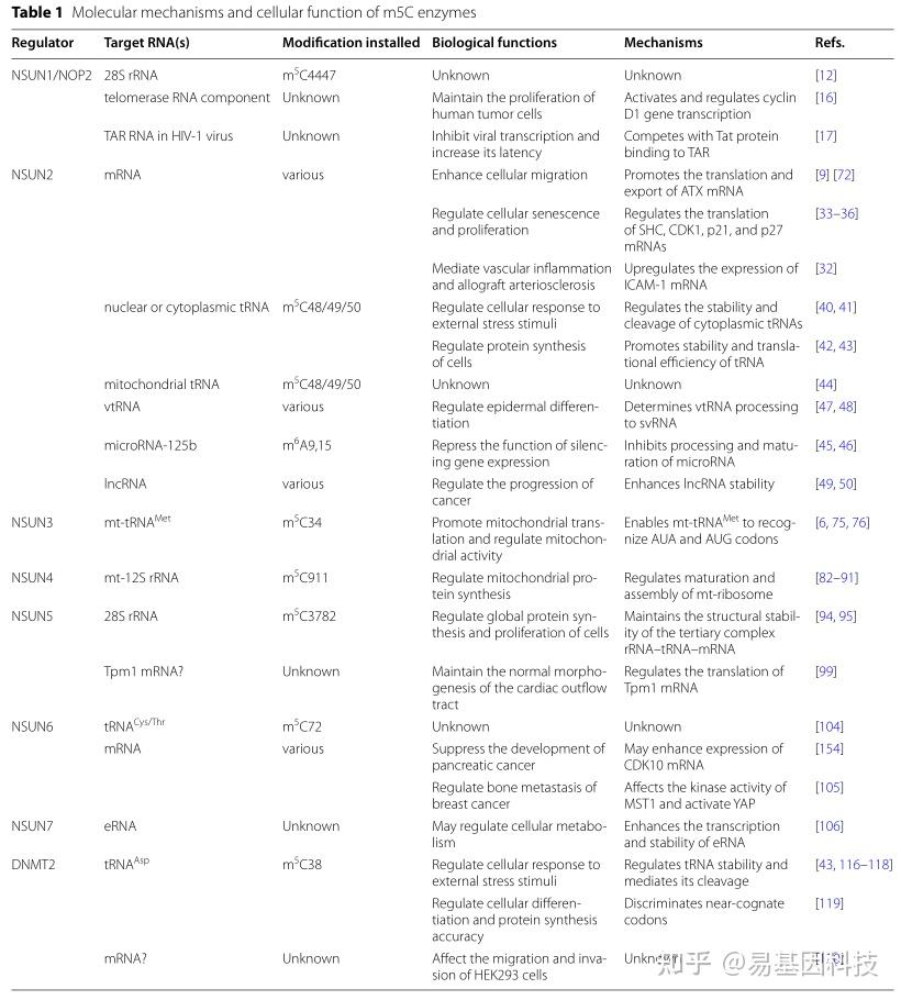 易基因：m5C RNA甲基转移酶及其在癌症中的潜在作用机制｜深度综述 - 知乎