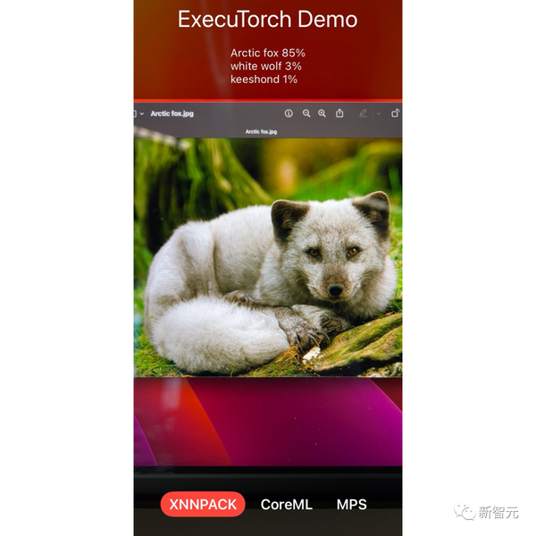 PyTorch大更新，编译代码速度暴增35倍！视觉模型一键部署，头显Quest 3可用 - 知乎