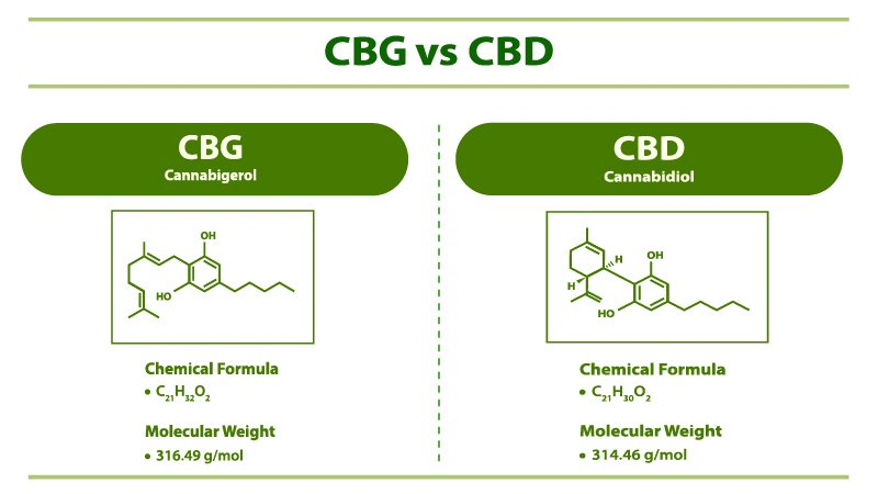 CBG 与 CBD：两种大麻素有什么区别？ - 知乎