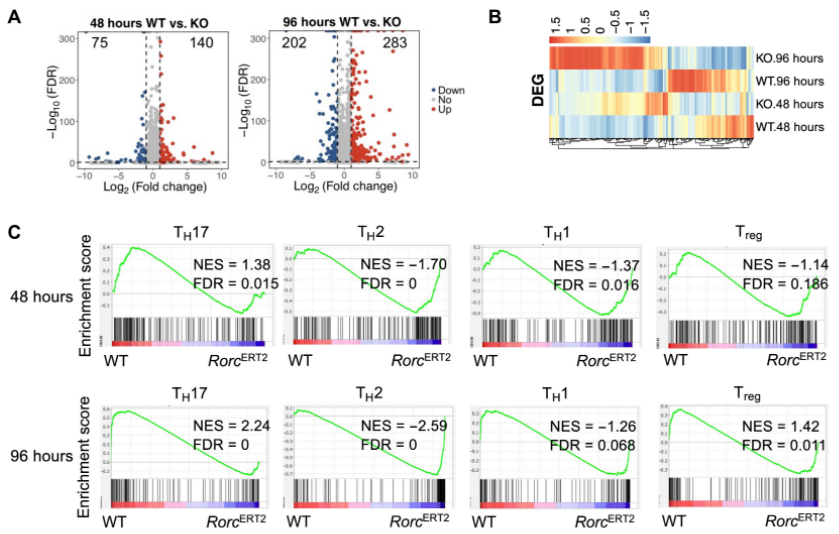 Science子刊 | 连发2篇！清华大学团队揭示维持成熟Th17细胞谱系的新机制 - 知乎
