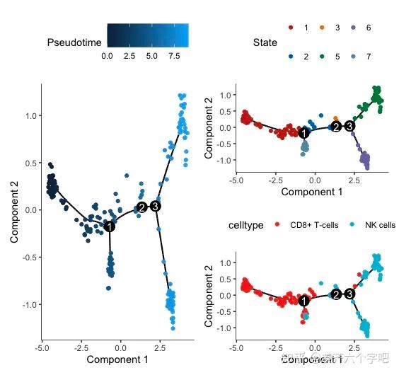 单细胞拟时序/轨迹分析原理及monocle2流程学习和整理 - 知乎