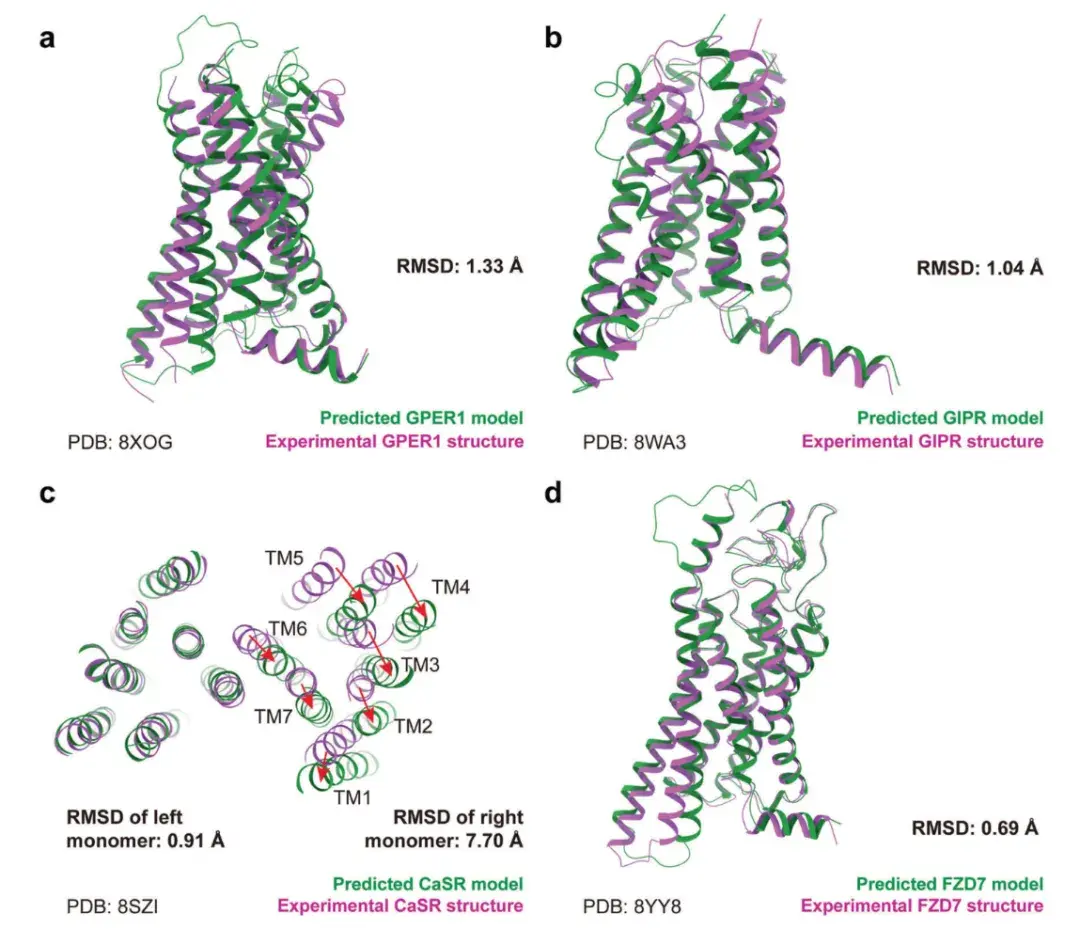 AlphaFold3预测结构准确性不足！上海药物所徐华强团队研究证实 - 知乎
