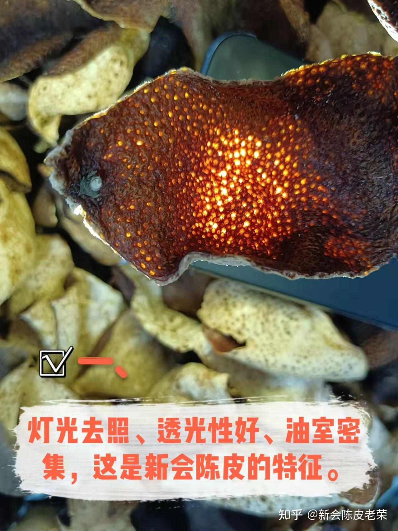 正宗新会陈皮的简单辨别（带图文）简单明了 知乎 1496