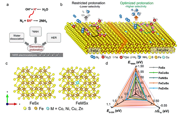 Co、Ni、Cu、Zn掺杂FeSx催化NRR（Cu促进NRR，抑制HER，NH3选择性75%） - 知乎