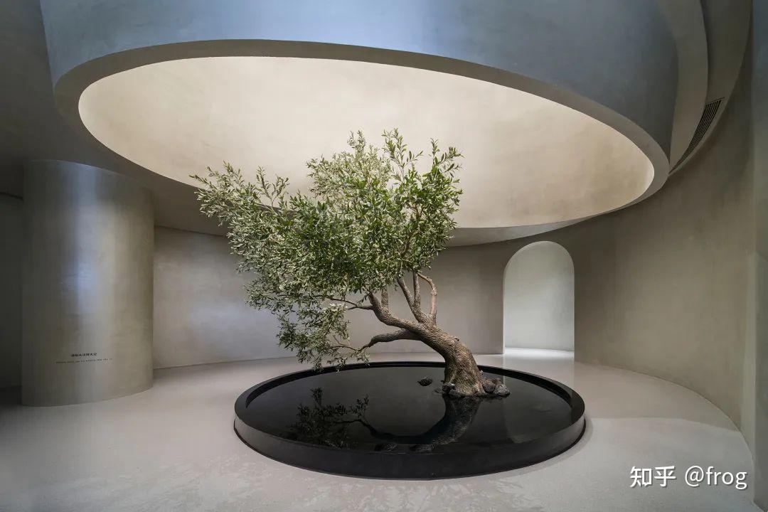 frog x Oravida 兰维乐 ｜ 沉静当下，全息体验 - 知乎