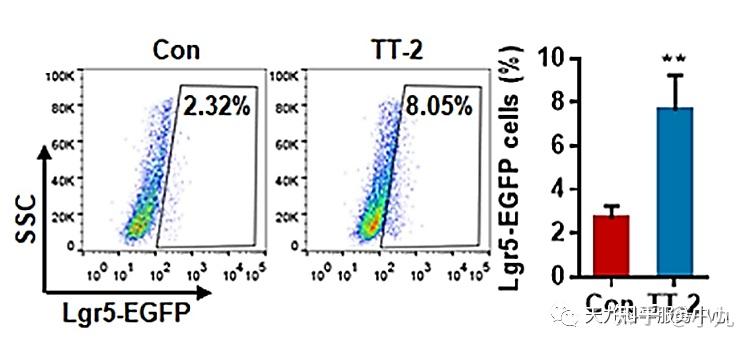 摆脱样本焦虑！助你实现人源小肠组织自由！ - 知乎