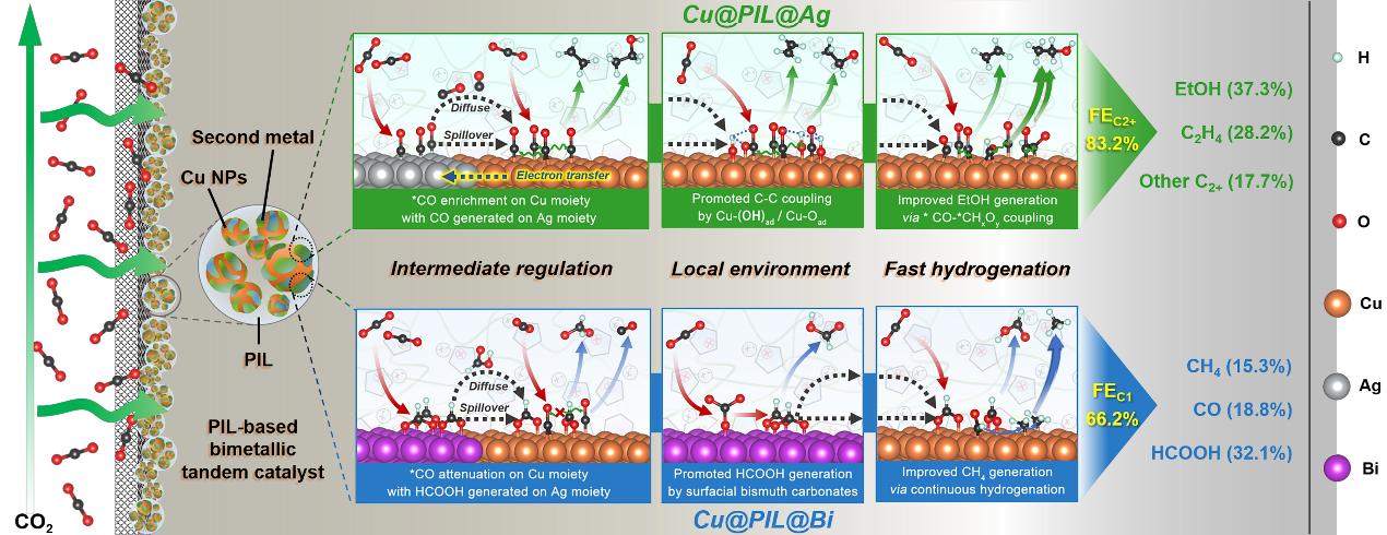 ACB：构筑高效CO2RR串联催化剂策略——聚离子液体基双金属杂化材料 - 知乎