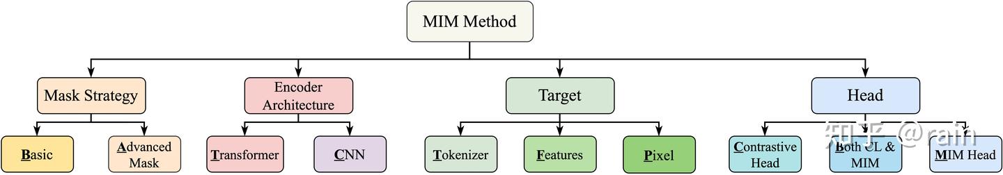 Masked Modeling Survey - 知乎