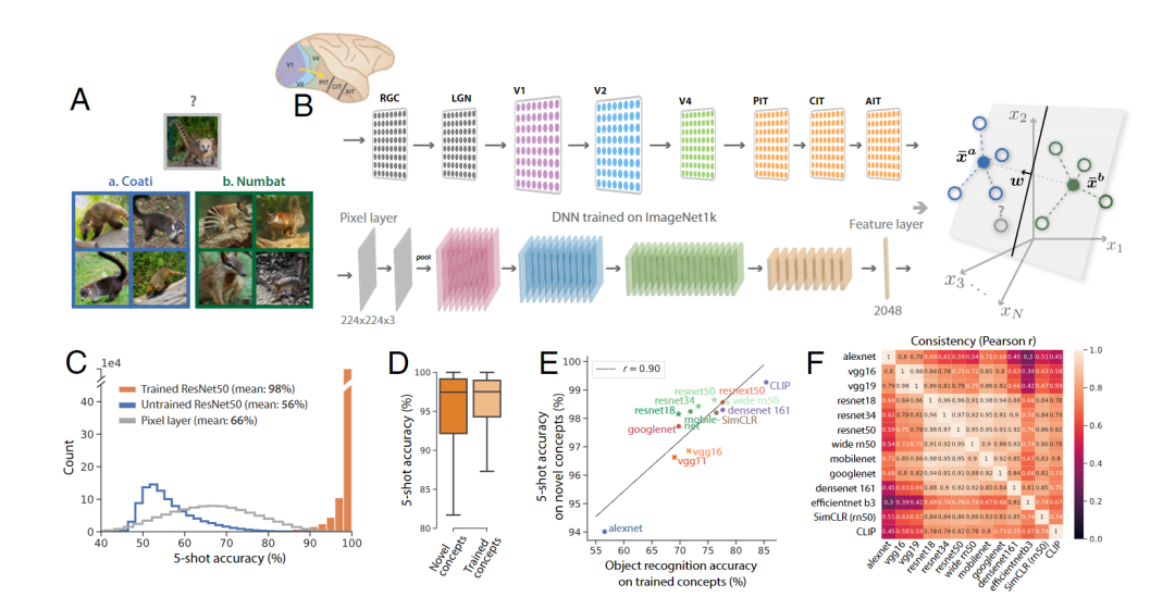 LeCun世界模型出场！Meta震撼发布首个「类人」模型，理解世界后补全半张图，自监督学习众望所归 - 知乎