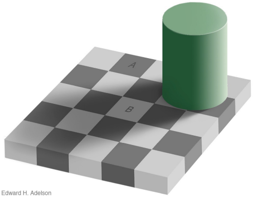Lecture20 Light Field、Color and Perception【学习笔记】 - 知乎