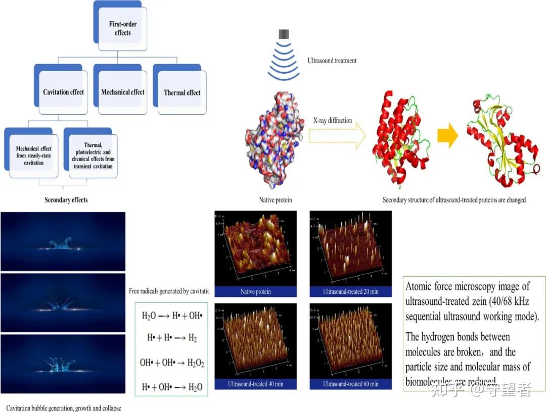 Ultrasonics Sonochemistry：超声和磁场的前景以及在珍稀食用菌发酵中的应用 - 知乎