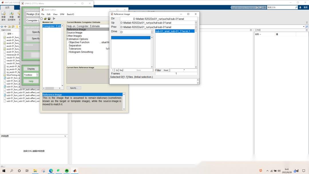 如何用SPM完成fMRI数据的预处理【任务态】 - 知乎