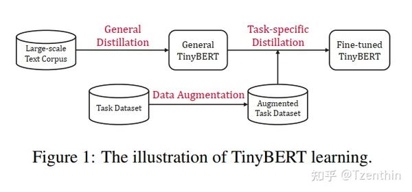 语音识别模型压缩之——知识蒸馏（TinyBert） - 知乎