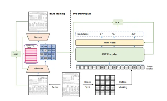DiT：用于文档图像Transformer的自监督预训练 - 知乎