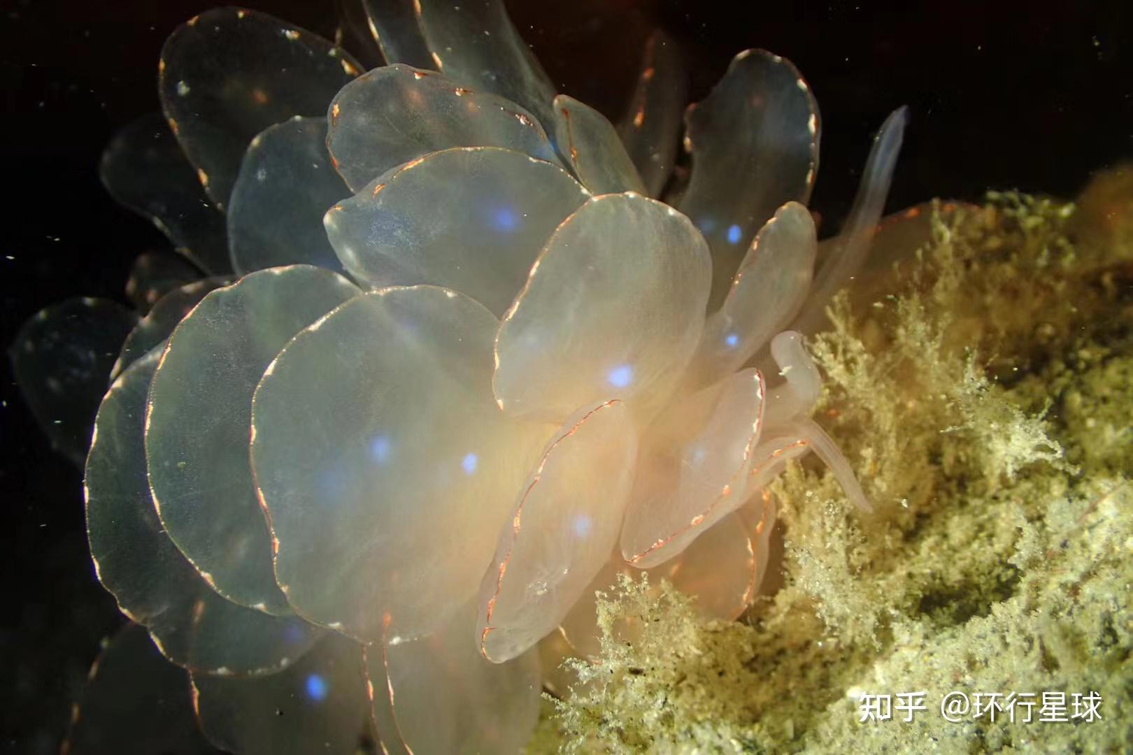 菲律宾，极度舒适的地方 - 知乎