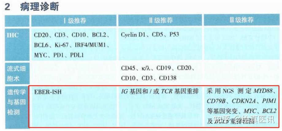 解读2023CSCO指南推荐淋巴瘤应进行哪些基因检测 - 知乎