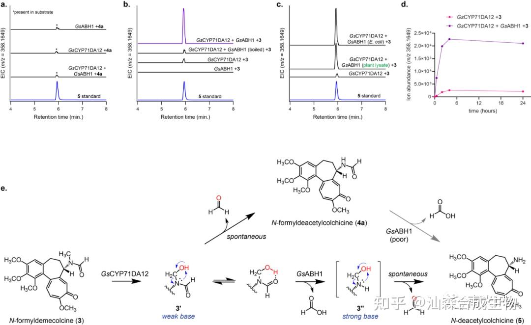 斯坦福大学Elizabeth Sattely组JACS | 秋水仙碱生物全合成的最后一环 - 知乎