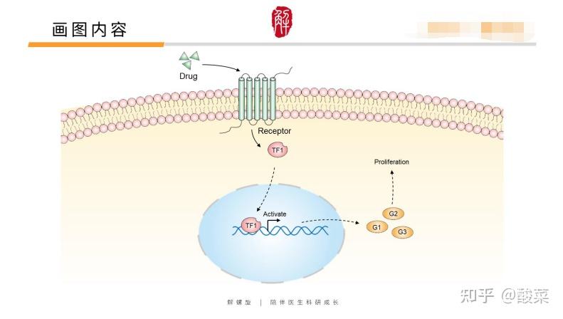 大揭秘！ CNS顶刊的Figure图是这样画出来的！ - 知乎
