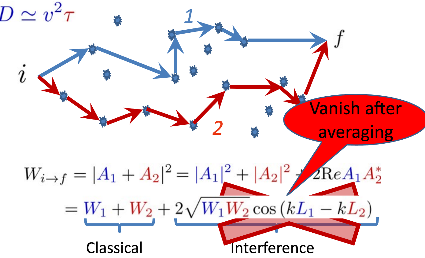 Anderson 局域化与网络性能的可能联系 - 知乎