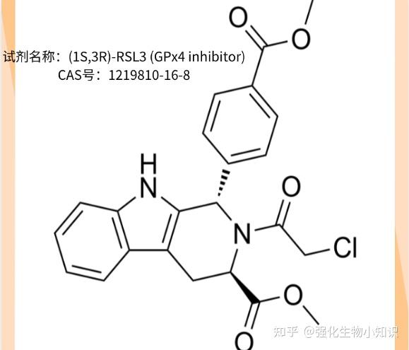 实用指南：(1S,3R)-RSL3 (GPx4 inhibitor)的化学特性与功能【CAS号：1219810-16-8】 - 知乎