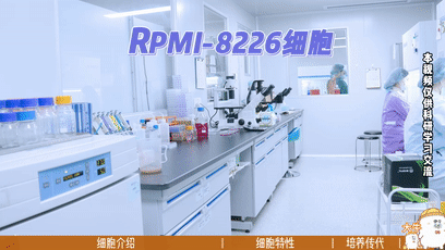 RPMI-8226细胞培养，人多发性骨髓瘤细胞培养攻略 - 丰晖生物 - 知乎