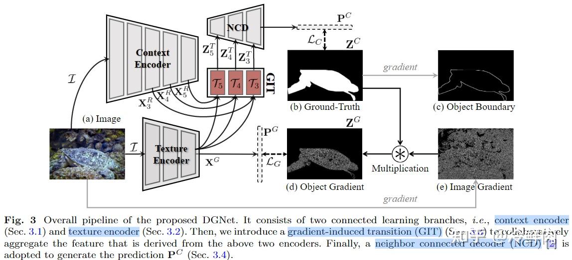 【DGNet】Deep Gradient Learning for Efficient Camouflaged Object Detection - 知乎