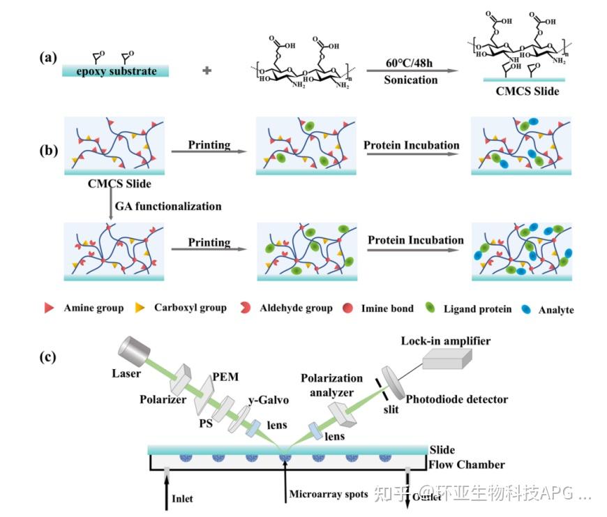 ArrayJet生物芯片点样仪助力开发无标记小分子相互作用检测方法 - 知乎