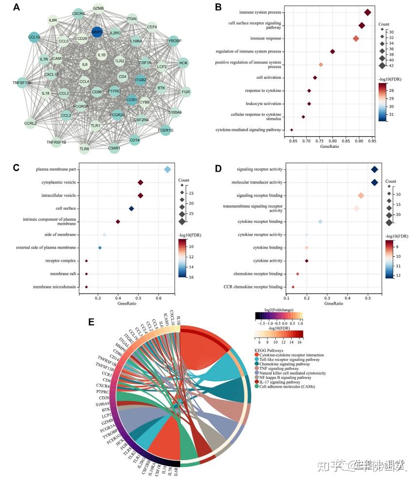 6+非肿瘤纯生信，结合机器学习，免疫浸润以及分子分型，不到两个月接收，可重复！ - 知乎
