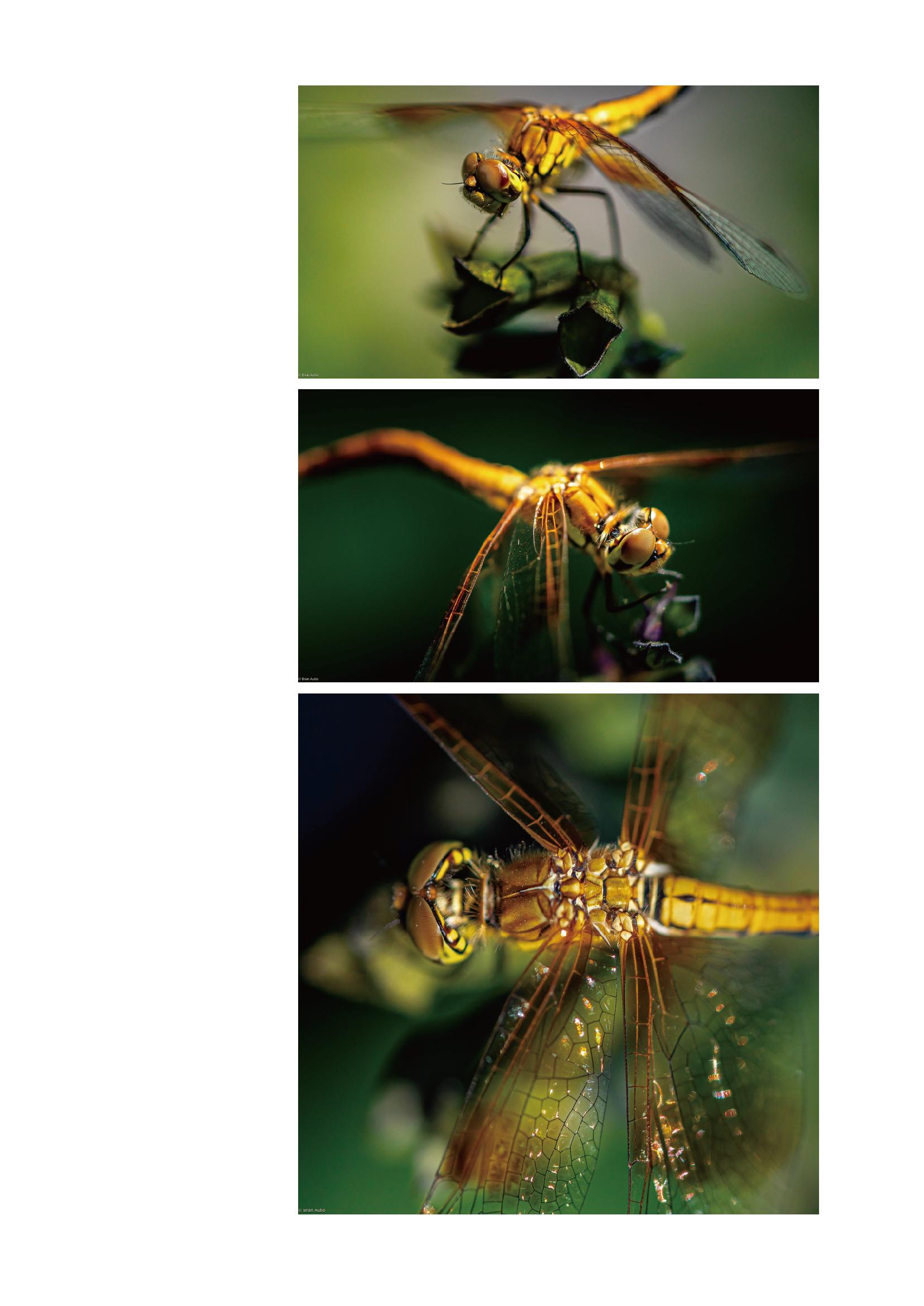 从大自然取色🌈 - 知乎