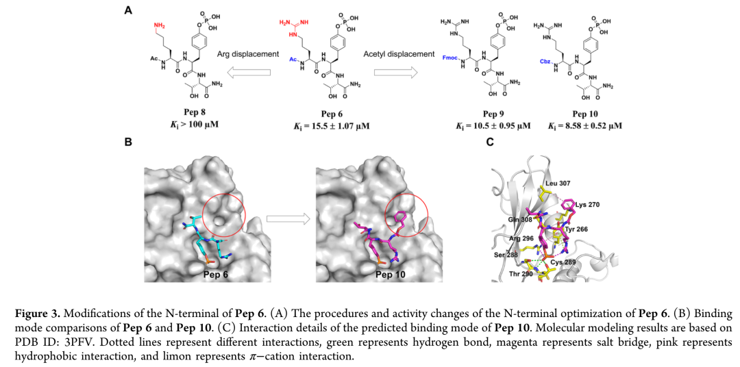 【JMC】药科大姜正羽&泰州学院牟伊：靶向Cbl-b SH2结构域的磷酸化拟肽类正构抑制剂的发现 - 知乎
