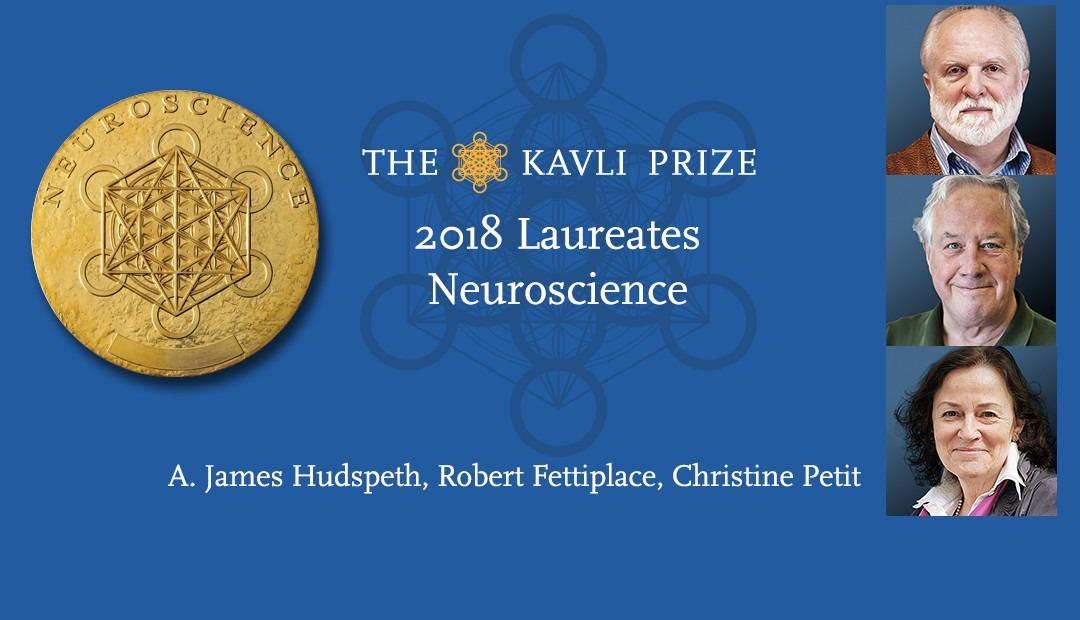 你的耳朵是如何让你听到声音的 ——卡弗里神经科学奖特别篇 - 知乎