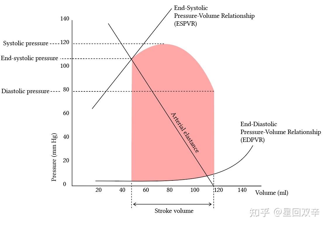 左心室压力-容积环（Left ventricular pressure-volume (PV) loops） - 知乎