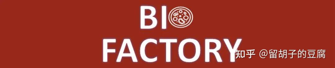 mRNA序列设计|如何进行密码子优化 - 知乎