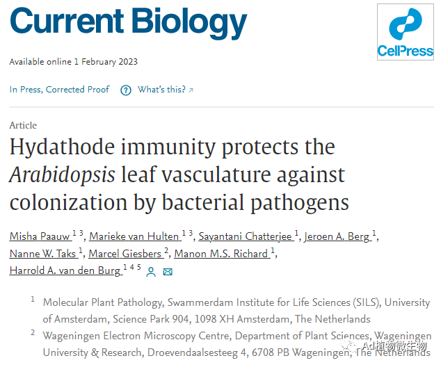 Current Biology | 研究揭示植物叶子上的泌水孔是抵御病原微生物的防御系统！ - 知乎