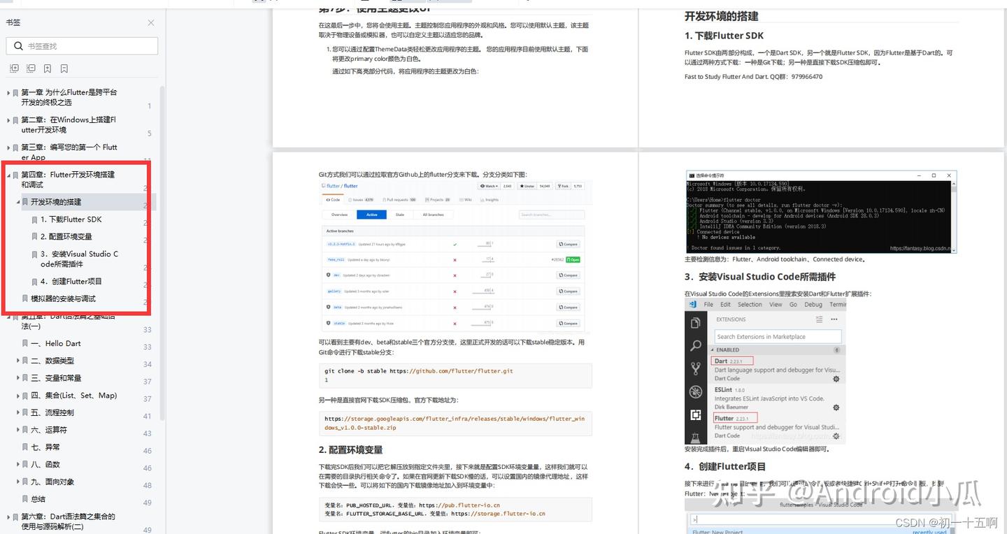 Flutter开发指南——动态化 知乎 