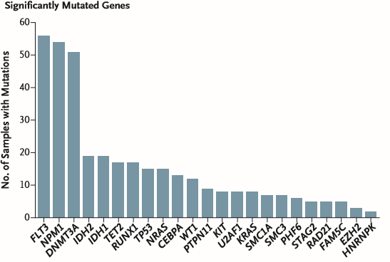 急性髓细胞白血病(AML)的分子诊断和靶向治疗 - 知乎
