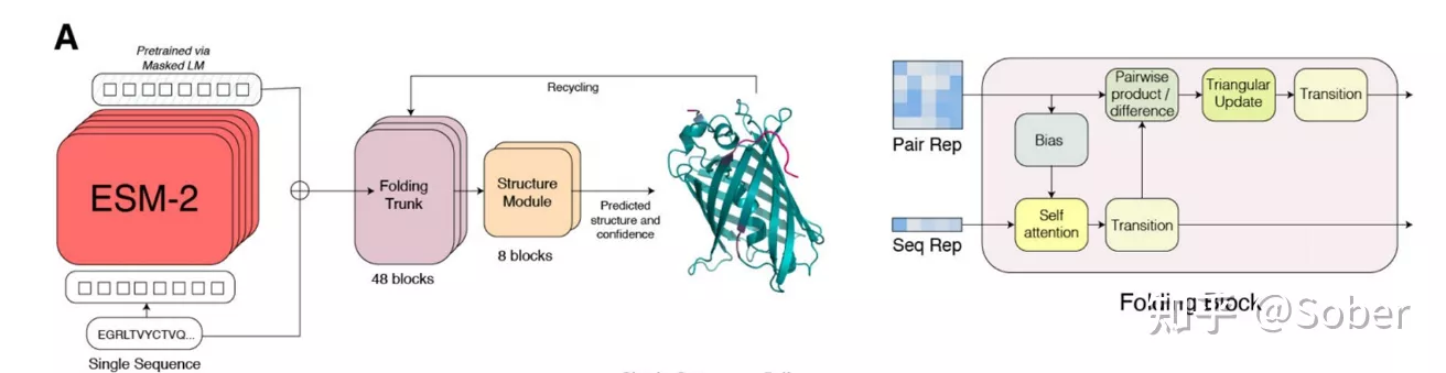 ESMFold：一种基于预训练语言模型的蛋白质结构预测方法 - 知乎