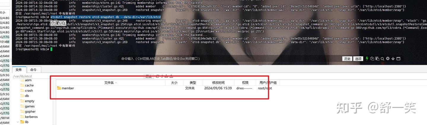 K8s中如何使用etcd进行集群信息的备份与恢复 - 知乎