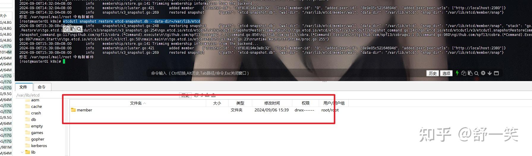 K8s中如何使用etcd进行集群信息的备份与恢复 - 知乎