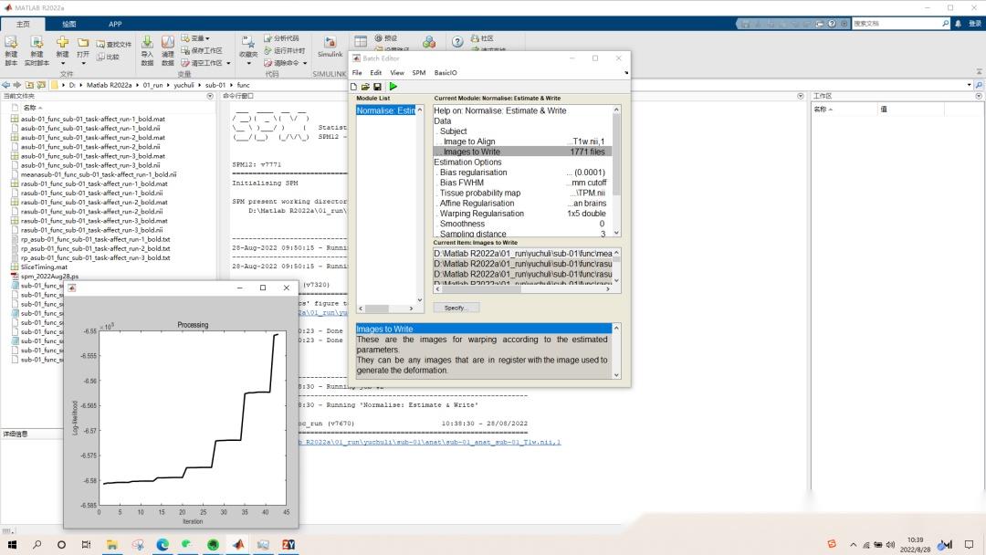 如何用SPM完成fMRI数据的预处理【任务态】 - 知乎
