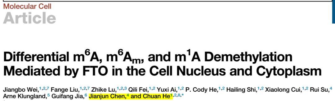 不能把“功劳”都算到m6A头上，FTO不仅仅是m6A去甲基化酶 - 知乎