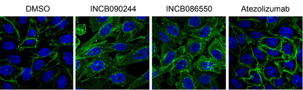 诺唯赞“免洗ELISA”新应用新亮点，高通量的小分子PD-L1抑制剂筛选 - 知乎