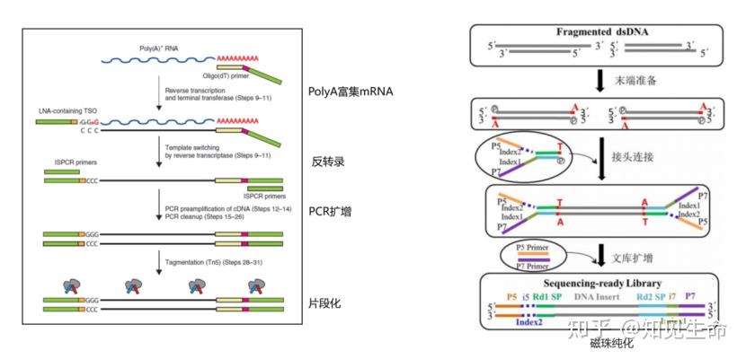 【学术分享第2期】NGS技术原理及其应用 - 知乎