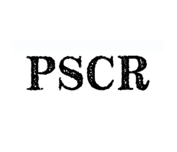 什么是PSCR？应该有哪些职责权限？ - 知乎