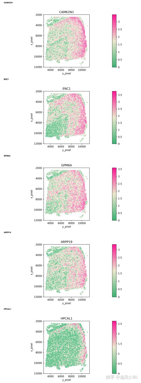 10X空间转录组聚类分析回顾之SpaGCN(结合基因表达信息、空间位置和形态学) - 知乎